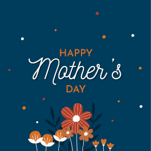 Classic Panettone by Pasticceria Cova | Traditional Italian Panettone ...